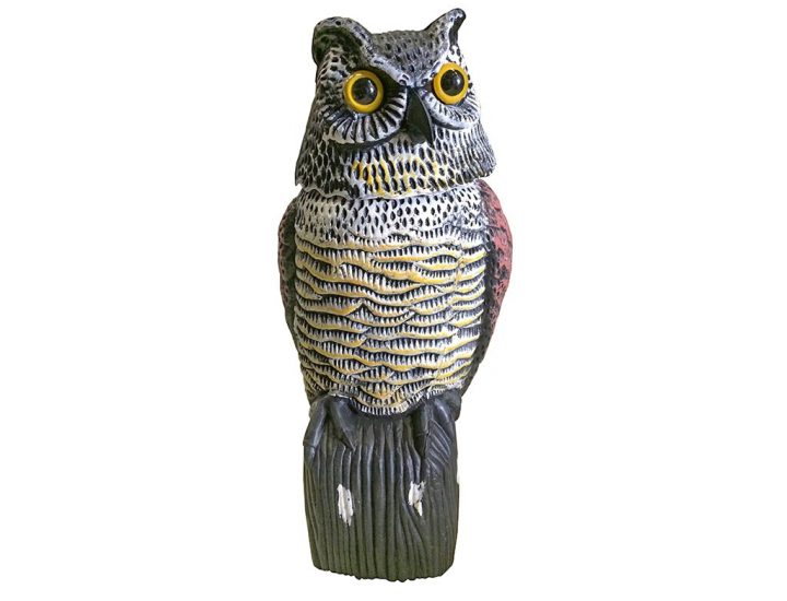 Proven Bird Control Products | BIRD BUSTERS