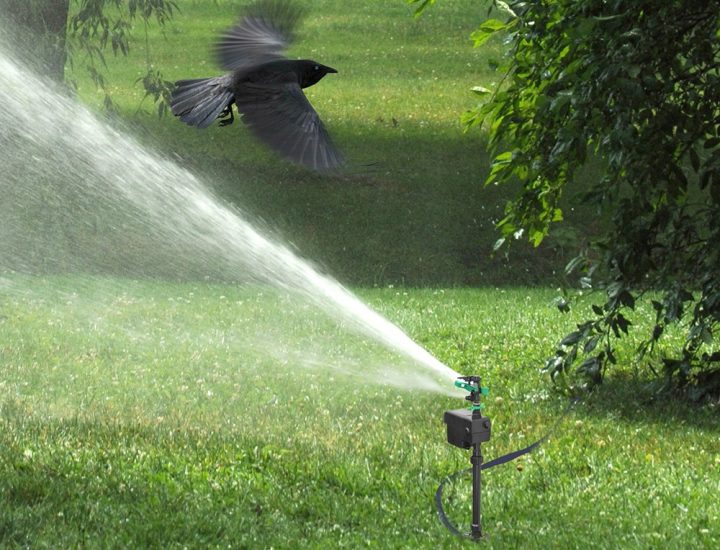 Proven Bird Control Products | BIRD BUSTERS