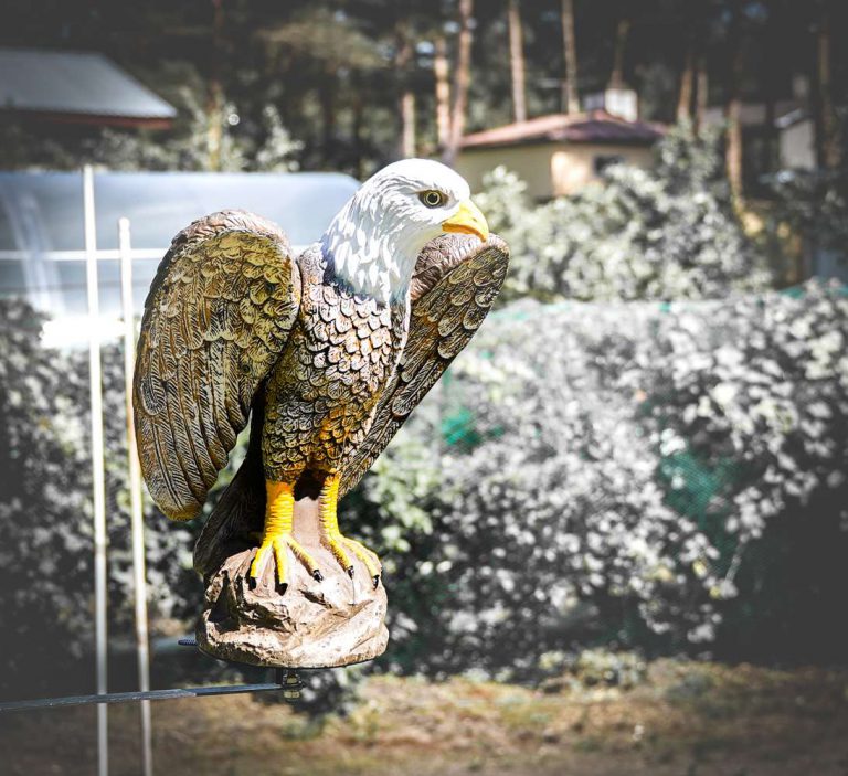 Rotating Eagle Decoy for Bird Control | BIRD BUSTERS